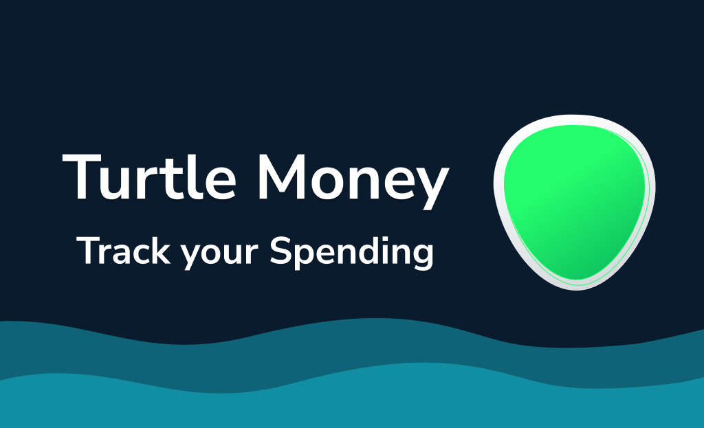 Turtle Money | Spend Less